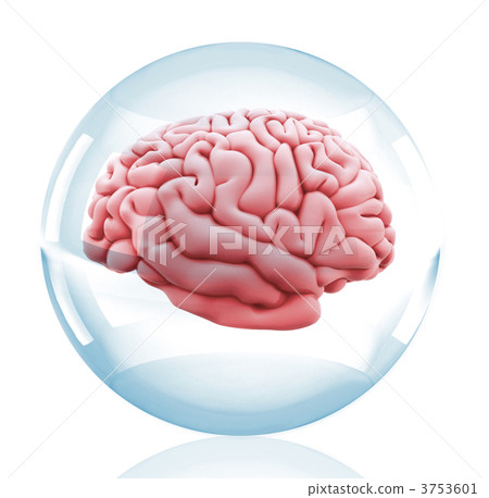 3D Brain in a crystal ball - Stock Illustration [3753601] - PIXTA