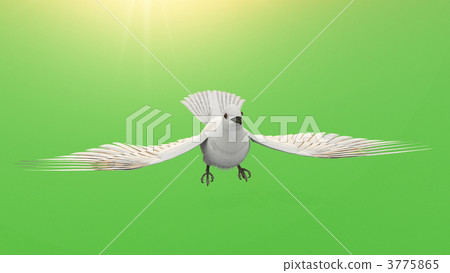 flap, flutter one's wings, wing - Stock Illustration [3775865] - PIXTA