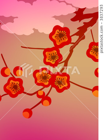 flower, flowers, ume - Stock Illustration [3837293] - PIXTA