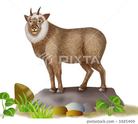 Japanese Antelope - Stock Illustration [3885409] - PIXTA