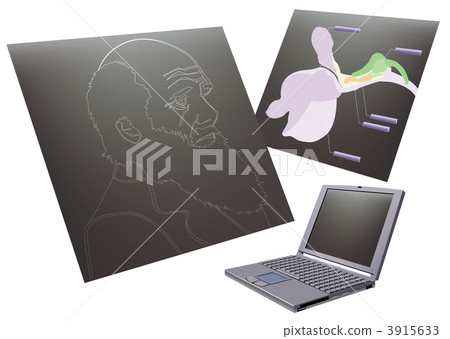 Darwin and PC - Stock Illustration [3915633] - PIXTA