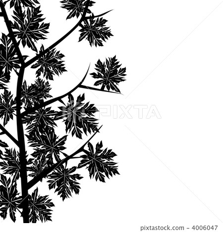 Maple leaf border - Stock Illustration [4006047] - PIXTA