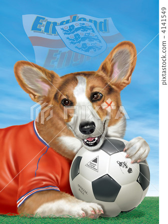 Corgi and soccer ball - Stock Illustration [4141549] - PIXTA