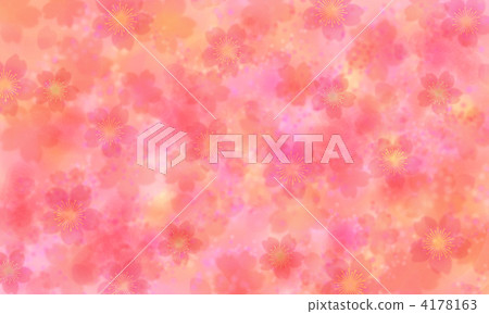 Sakura pattern background - Stock Illustration [4178163] - PIXTA