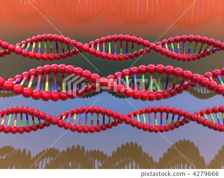 DNA model image - Stock Illustration [4279666] - PIXTA