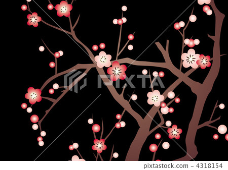 flower, flowers, ume - Stock Illustration [4318154] - PIXTA