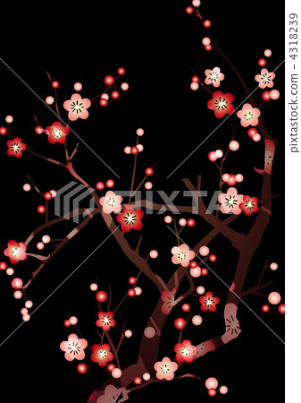 flower, flowers, ume - Stock Illustration [4318239] - PIXTA