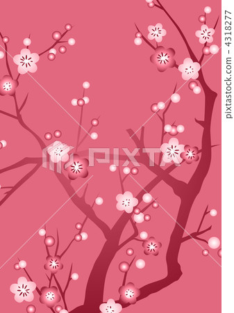 flower, flowers, ume - Stock Illustration [4318277] - PIXTA