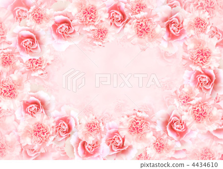 carnation, carnations, background - Stock Illustration [4434610] - PIXTA
