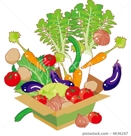 Vegetable direct mail - Stock Illustration [4636287] - PIXTA