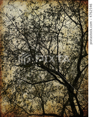 art grunge forest background card - Stock Illustration [4762546] - PIXTA
