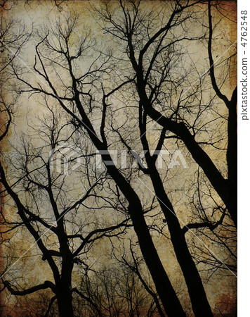 art grunge forest background card - Stock Illustration [4762548] - PIXTA