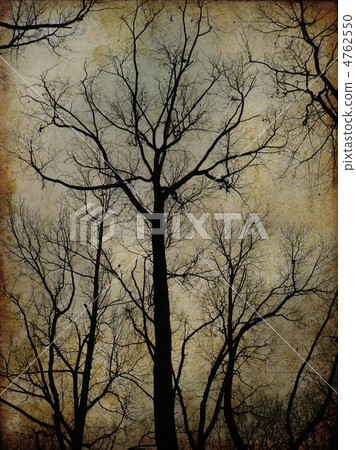 art grunge forest background card - Stock Illustration [4762550] - PIXTA
