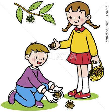Picking up autumn chestnuts - Stock Illustration [4787142] - PIXTA