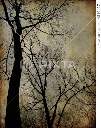 art grunge forest background card - Stock Illustration [4810417] - PIXTA