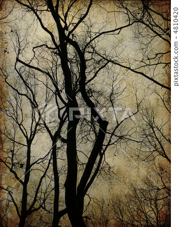 art grunge forest background card - Stock Illustration [4810420] - PIXTA