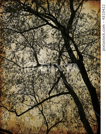 art grunge forest background card - Stock Illustration [4810422] - PIXTA