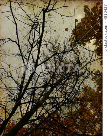 art grunge forest background card - Stock Illustration [4810427] - PIXTA