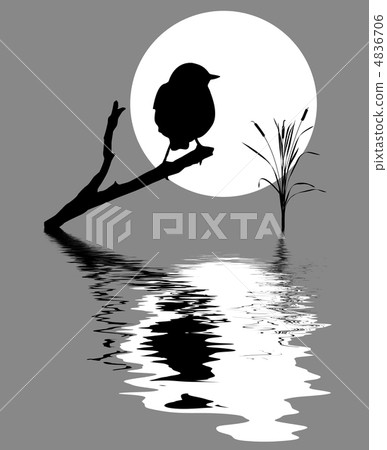 small bird on branch tree amongst water - Stock Illustration [4836706 ...
