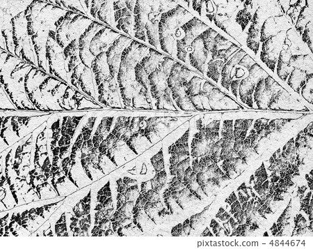 hatching, ink, mottled - Stock Illustration [4844674] - PIXTA
