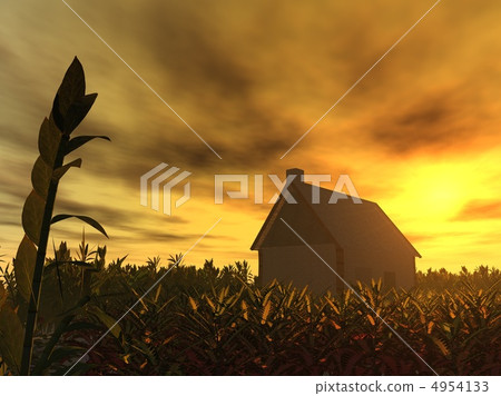house in sunset - Stock Illustration [4954133] - PIXTA
