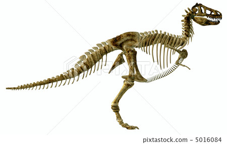 T-REX Bone ☆ Tyrannosaurus - Stock Illustration [5016084] - PIXTA
