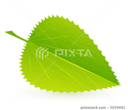 Vector leaf concept. Nature abstract symbol - Stock Illustration ...