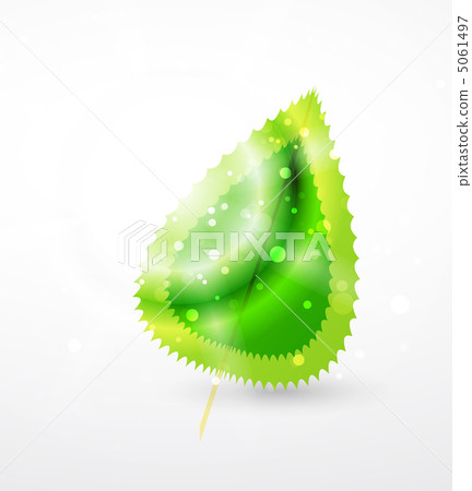 Vector leaf concept. Nature abstract symbol - Stock Illustration ...