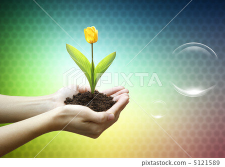 hand, bloom, blossom - Stock Illustration [5121589] - PIXTA