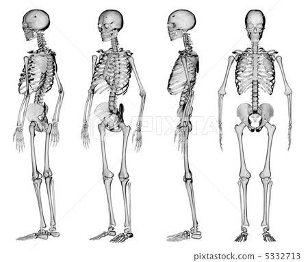 Squealing - Stock Illustration [5332713] - PIXTA
