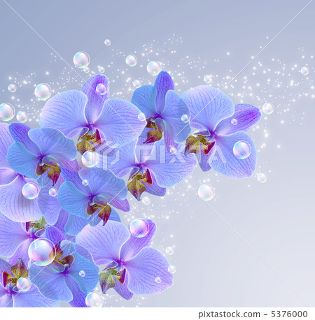 Orchid and bubbles - Stock Illustration [5376000] - PIXTA