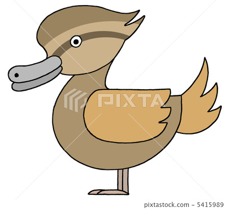 鴨-插圖素材 [5415989] - PIXTA圖庫