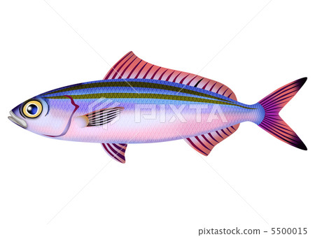 Gurukun - Stock Illustration [5500015] - PIXTA