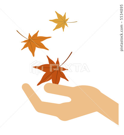 Hand catching maple leaves - Stock Illustration [5534895] - PIXTA