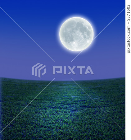 Moonlight land - Stock Illustration [5571602] - PIXTA