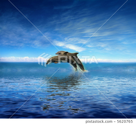 freedom, flipper, fins - Stock Illustration [5620765] - PIXTA