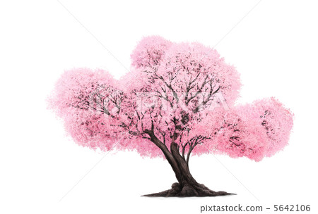 One tree Sakura spring white background - Stock Illustration [5642106 ...