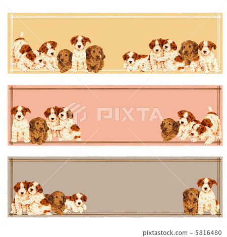 Cute dog's header - Stock Illustration [5816480] - PIXTA