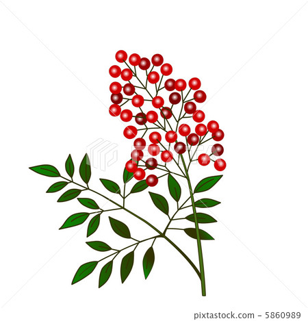 Southern - Stock Illustration [5860989] - PIXTA