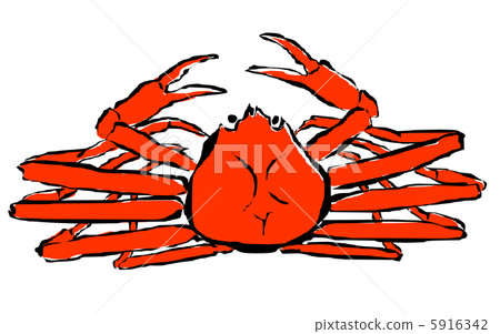 Snow crab - Stock Illustration [5916342] - PIXTA
