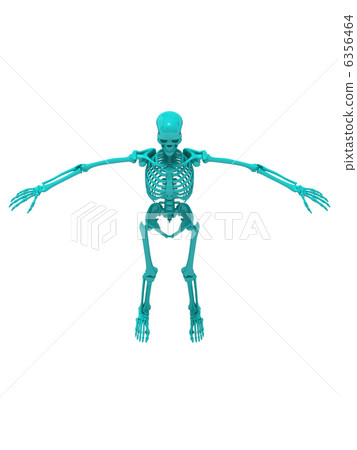 Skeleton light blue 2 - Stock Illustration [6356464] - PIXTA