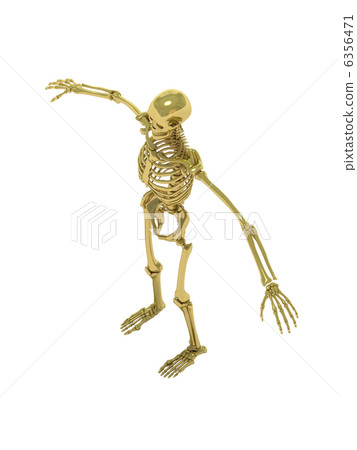 Skeleton Gold 3 - Stock Illustration [6356471] - PIXTA