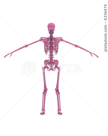 Skeleton Pink 4 - Stock Illustration [6356474] - PIXTA