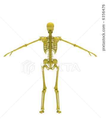 Skeleton Yellow 4 - Stock Illustration [6356476] - PIXTA