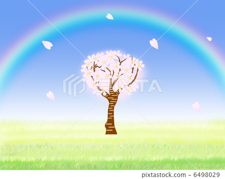 Cherry tree and rainbow - Stock Illustration [6498029] - PIXTA