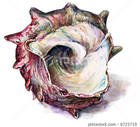 Sasae - Stock Illustration [6725719] - PIXTA