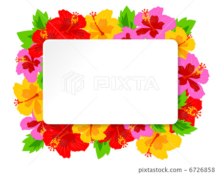 Hibiscus flower frame - Stock Illustration [6726858] - PIXTA