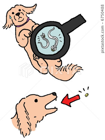 Removal of dogs' parasites - Stock Illustration [6750488] - PIXTA