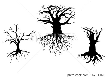 Dead trees for ecology design - Stock Illustration [6794466] - PIXTA