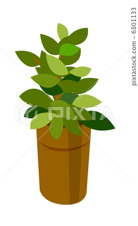 vector icon plant - Stock Illustration [6801133] - PIXTA